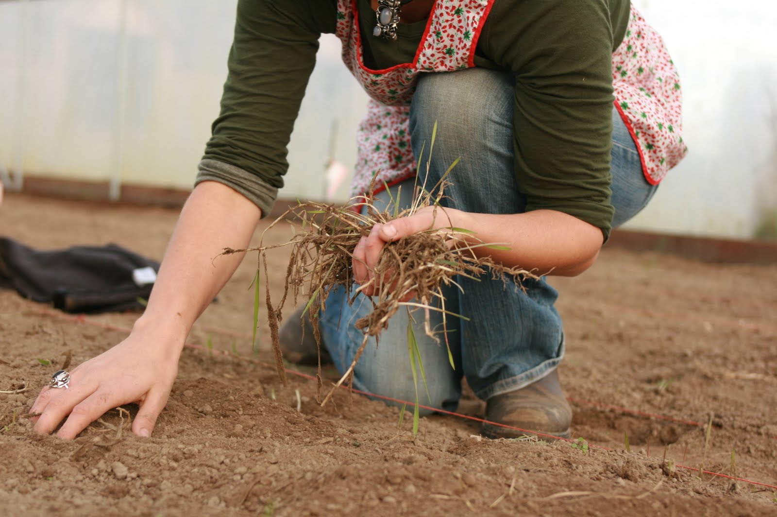 Weeding - Floret Flowers