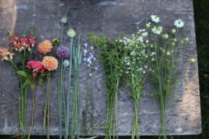 How to Create an Edible-infused Bouquet - Floret Flowers