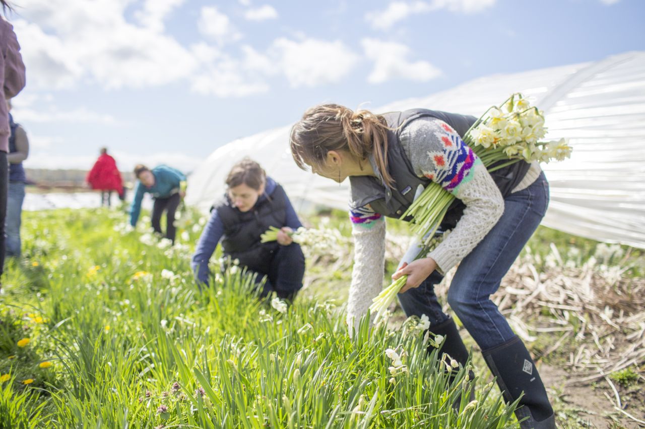 Small space flower farming - Part 1 - Floret Flowers