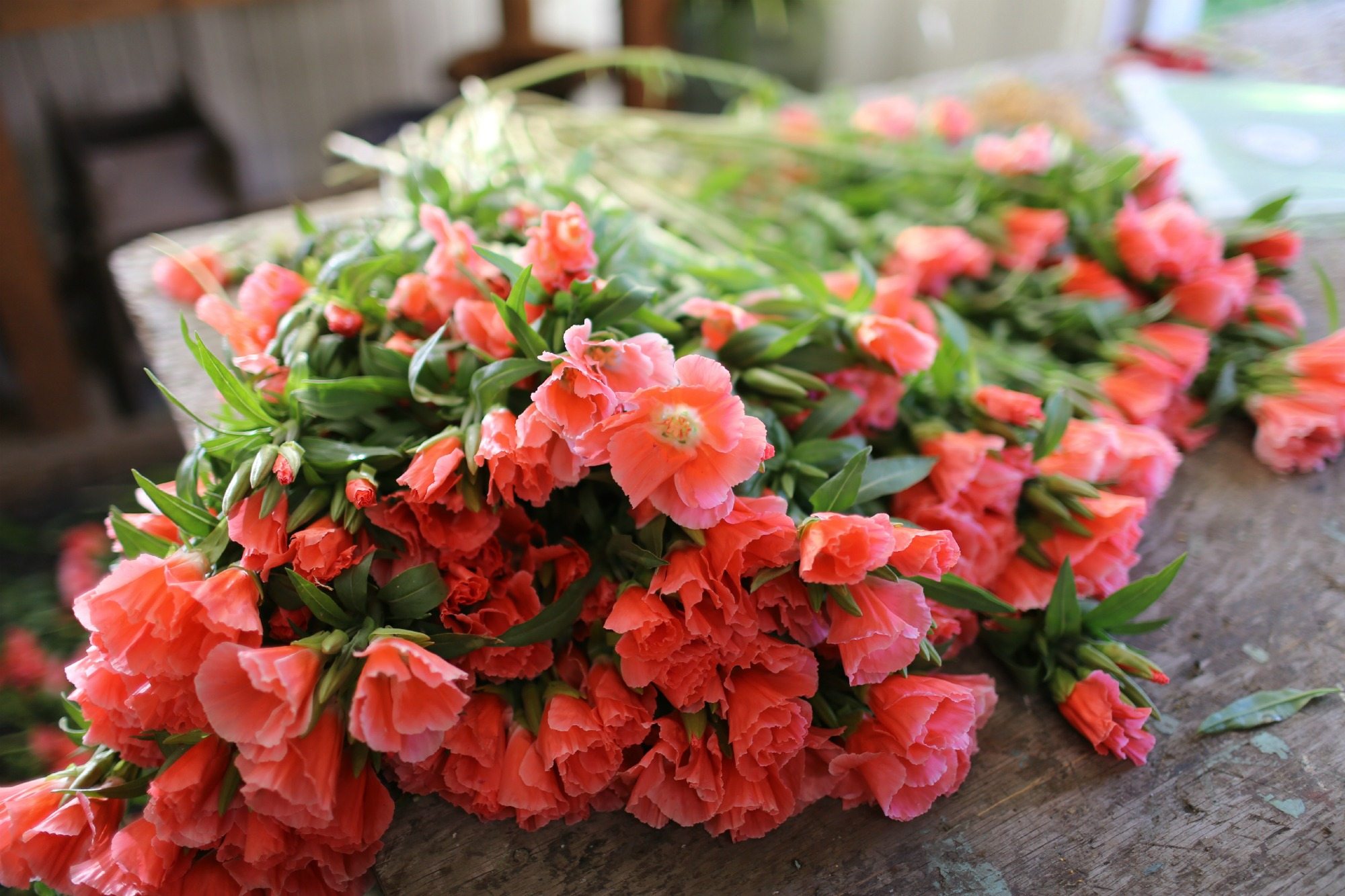 2015 Floret Workshop Scholarships - Floret Flowers