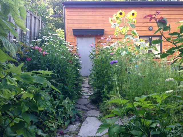 Small space flower farming - Part 1 - Floret Flowers