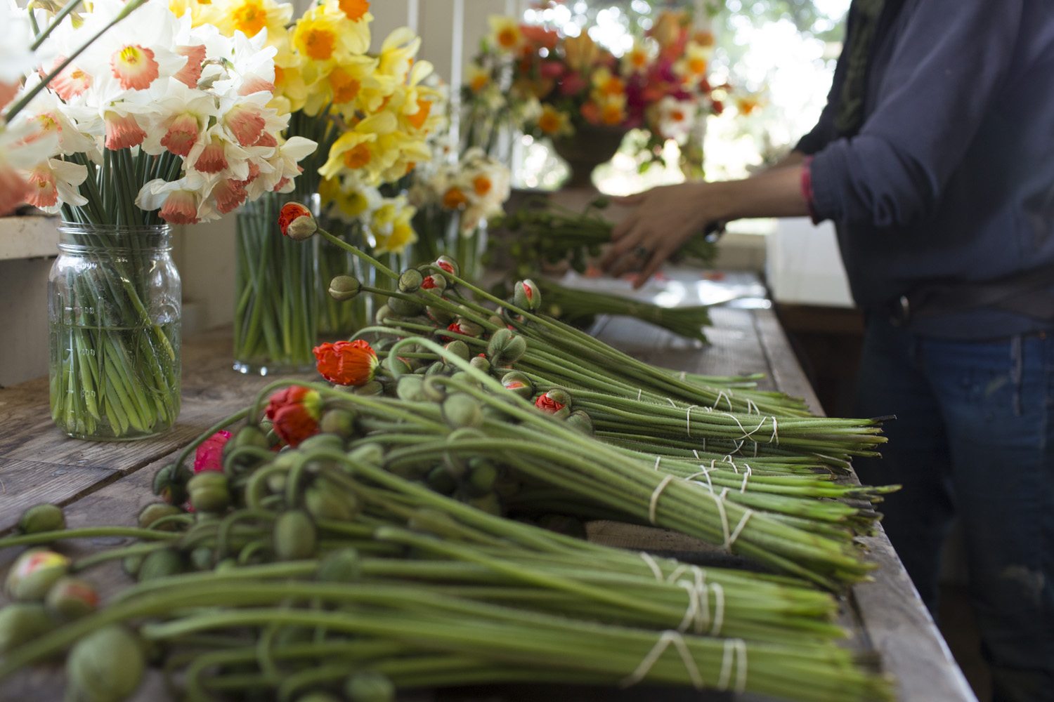 This Week on the Farm: Week 12 - Floret Flowers