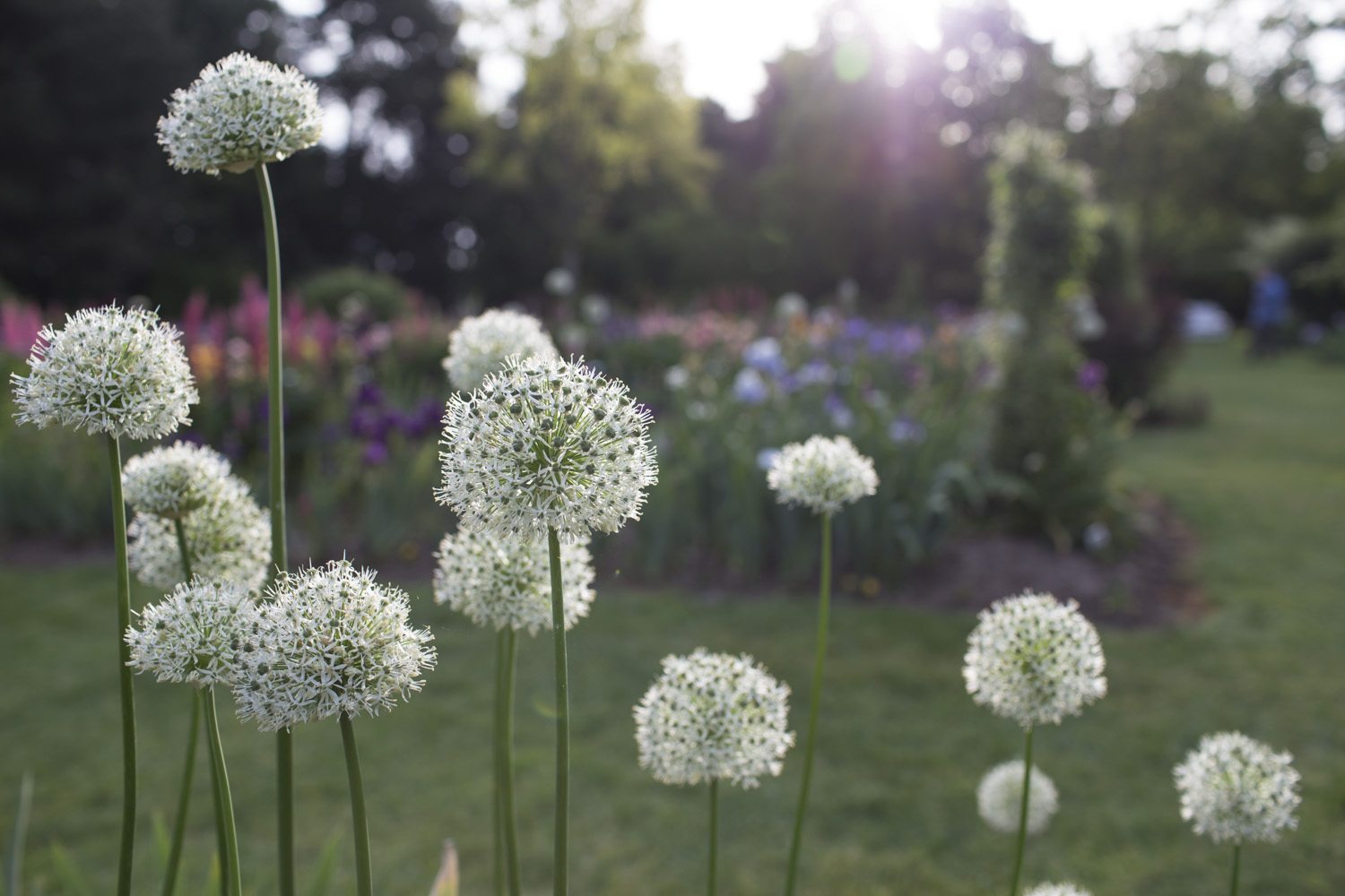 Oregon Flower Tour - Floret Flowers