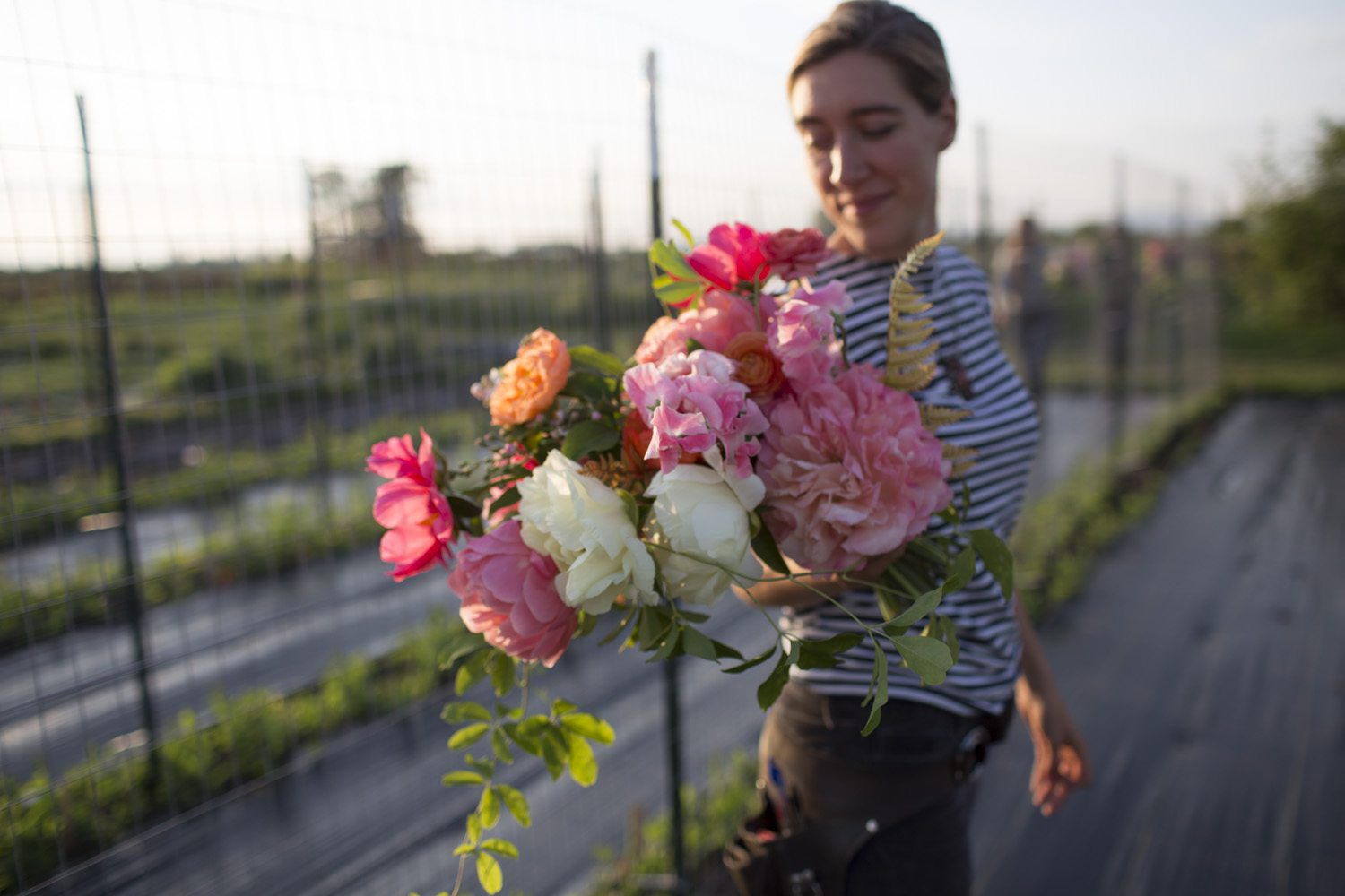 Seasonal Flower Alliance: May 22 - Floret Flowers
