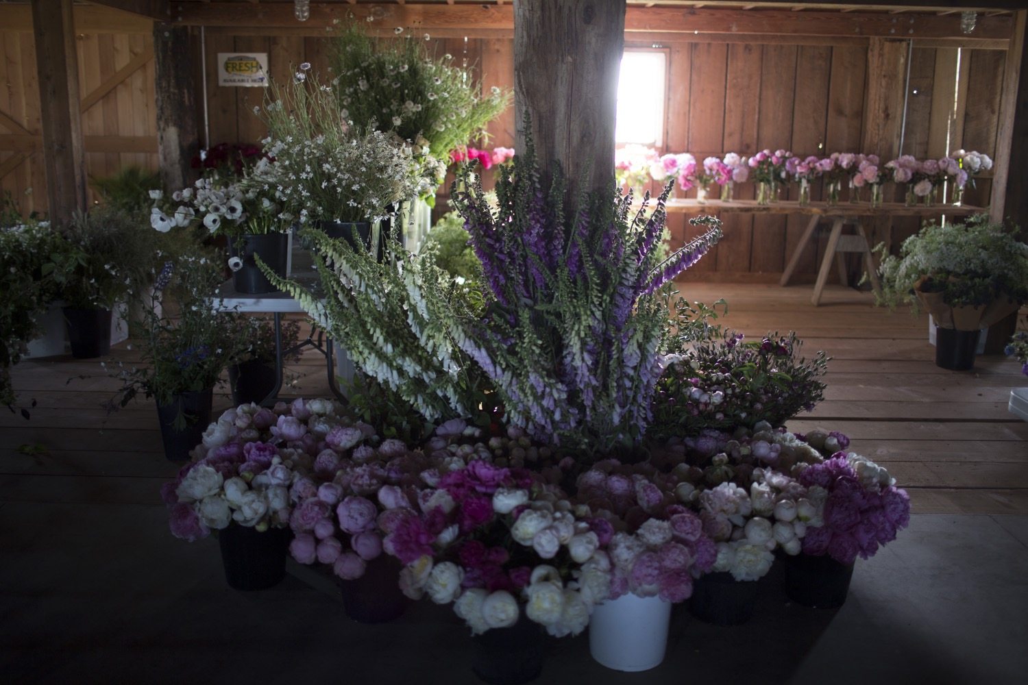 This Week on the Farm: { Workshop Recap } - Floret Flowers