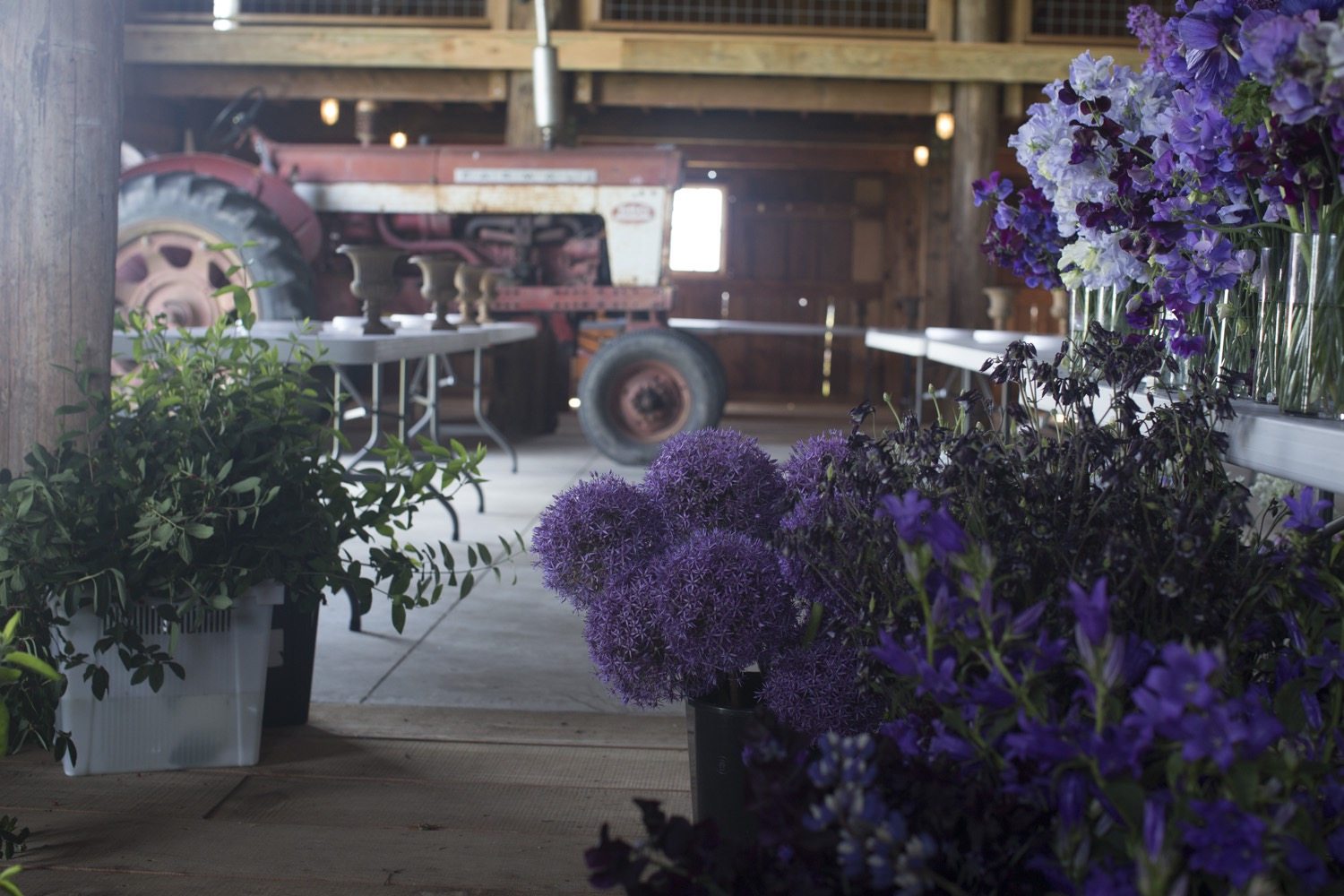 This Week on the Farm: { Workshop Recap } - Floret Flowers