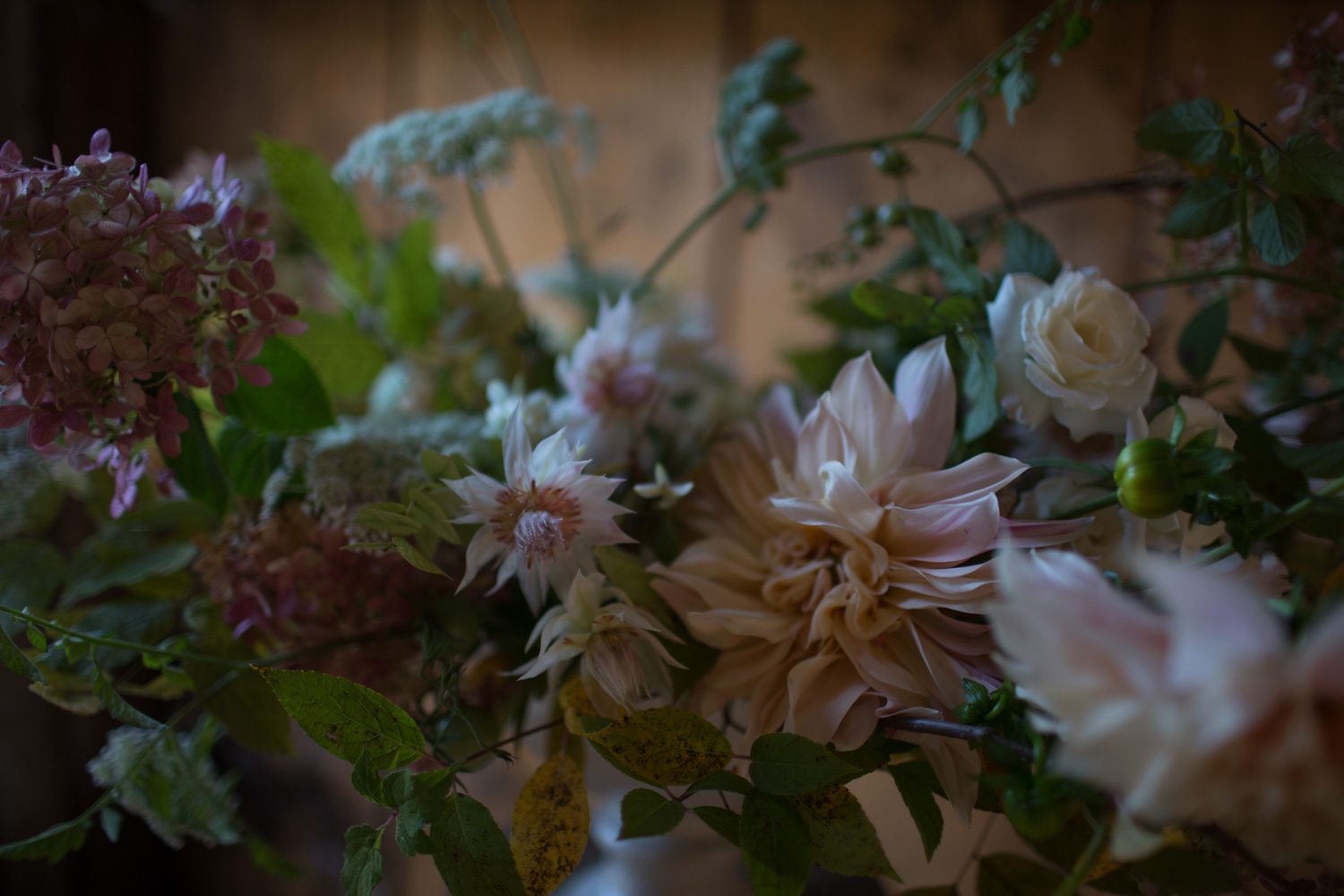 A Visit to World's End Farm - Floret Flowers