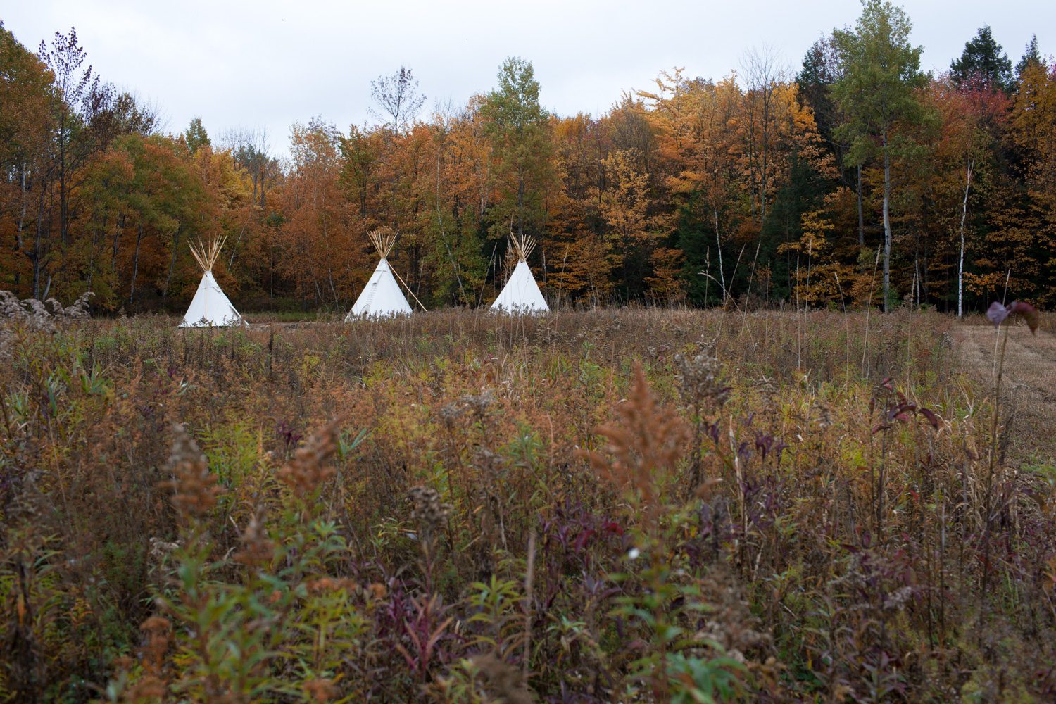 A Visit to World's End Farm - Floret Flowers
