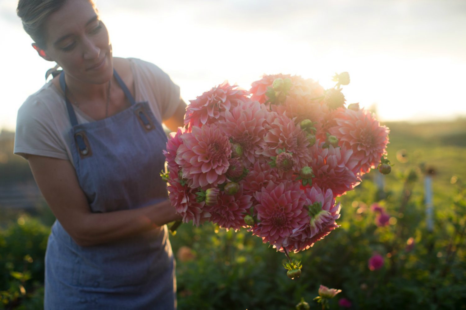 Why We Created Floret Seeds - Floret Flowers