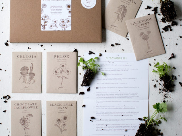 Floret Seeds - Floret Flowers