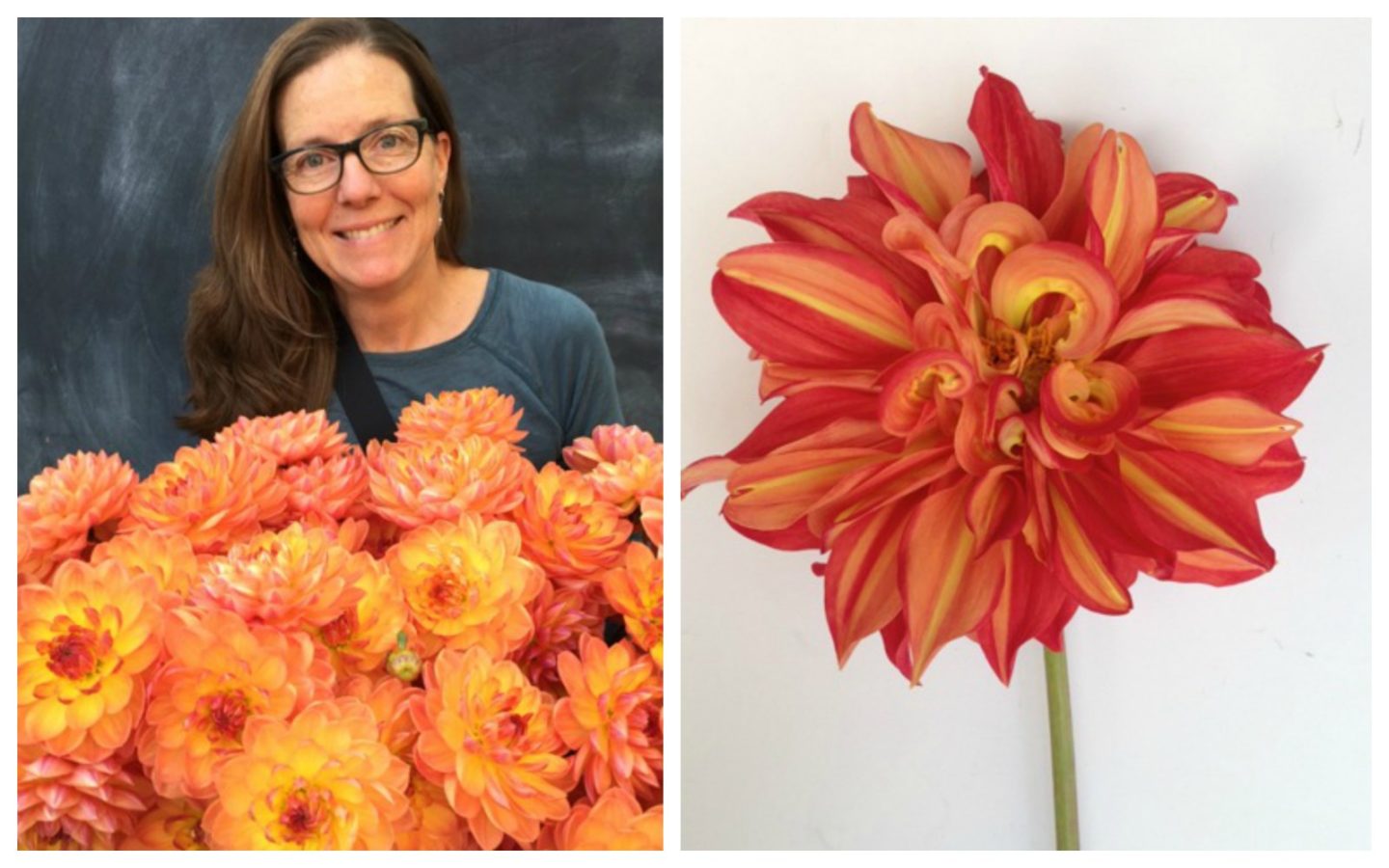 The {Farmer} & the Florist Interview: Kristine Albrecht from Santa Cruz ...