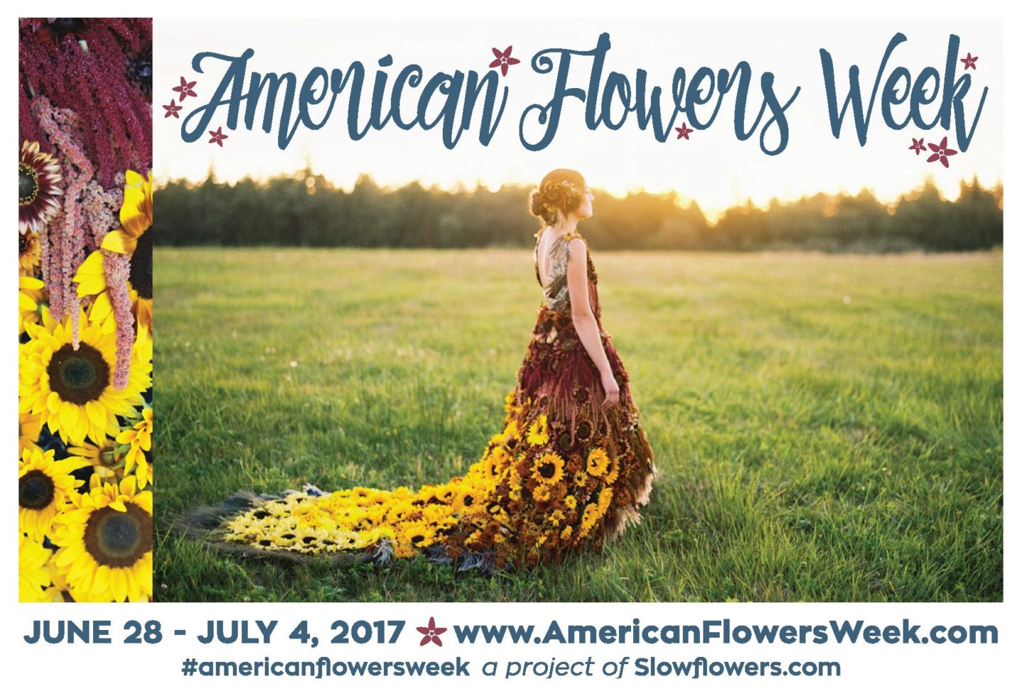 Celebrating the 4th of July with local flowers - Floret Flowers