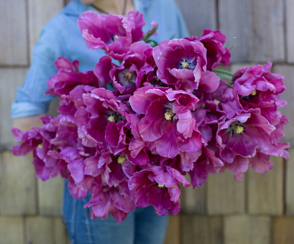 Blog - Floret Flowers