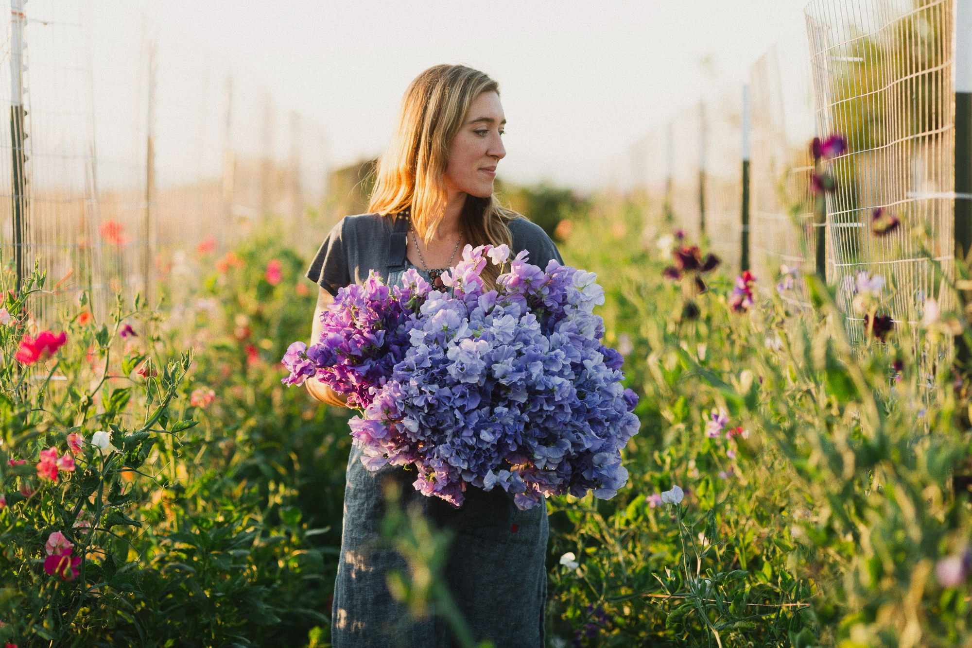 Announcing the Floret Mini Course - Floret Flowers