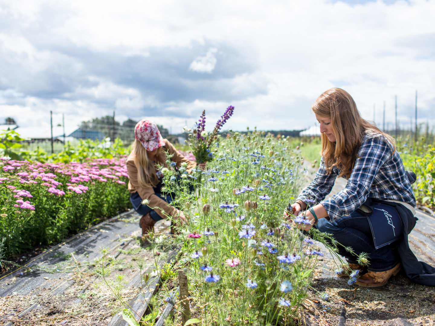 Inspiration - Page 3 of 8 - Floret Flowers
