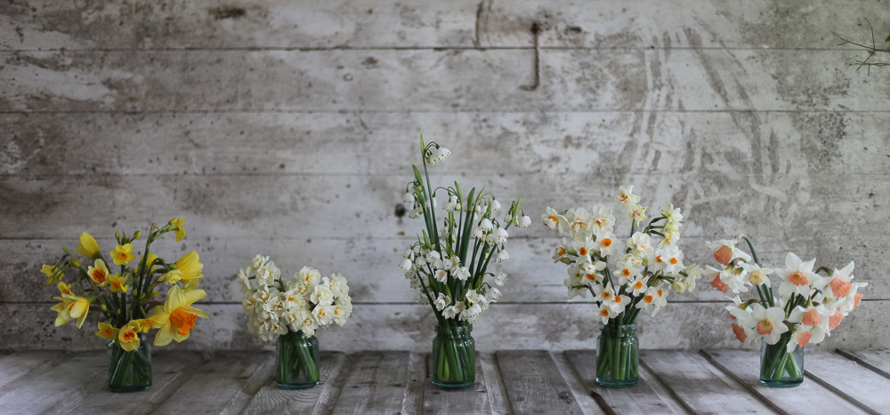 Floret's new online shop - Floret Flowers