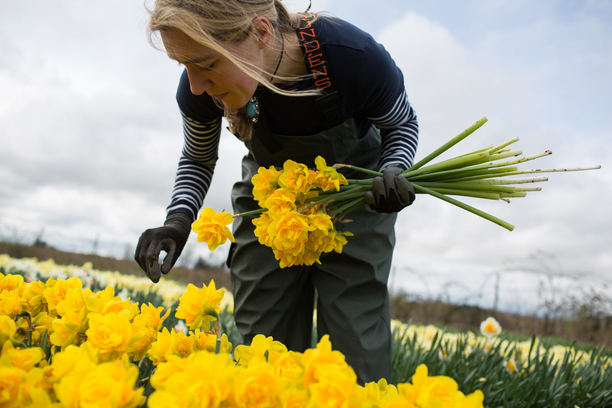 Fall-planted Bulbs for Spring Flowers - Floret Flowers