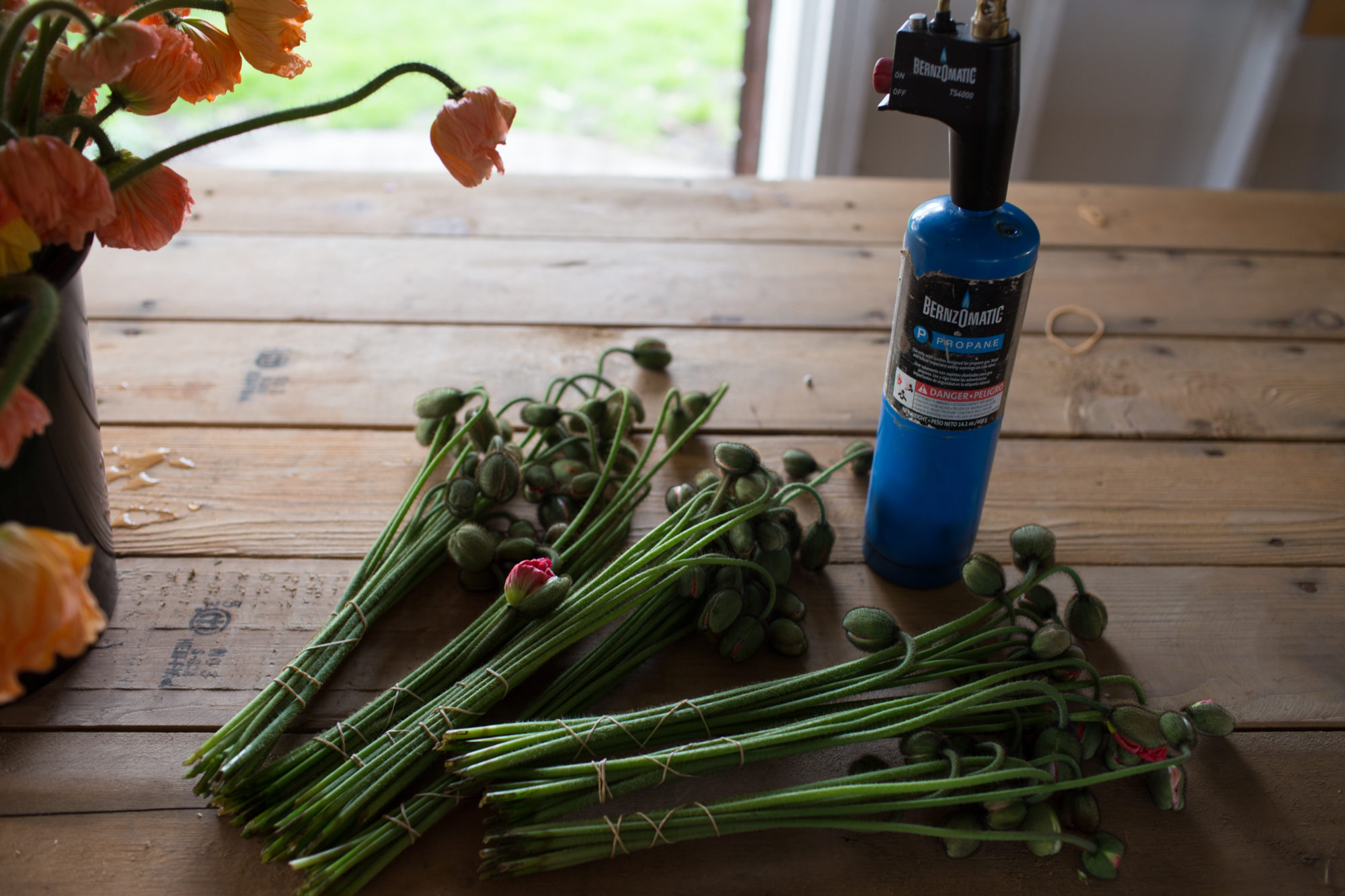 Poppy Primer - Floret Flowers