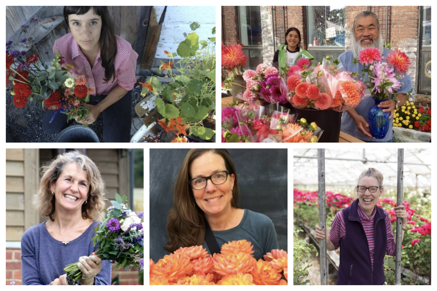Celebrating 5 Years of The Farmer & the Florist Interview Series ...