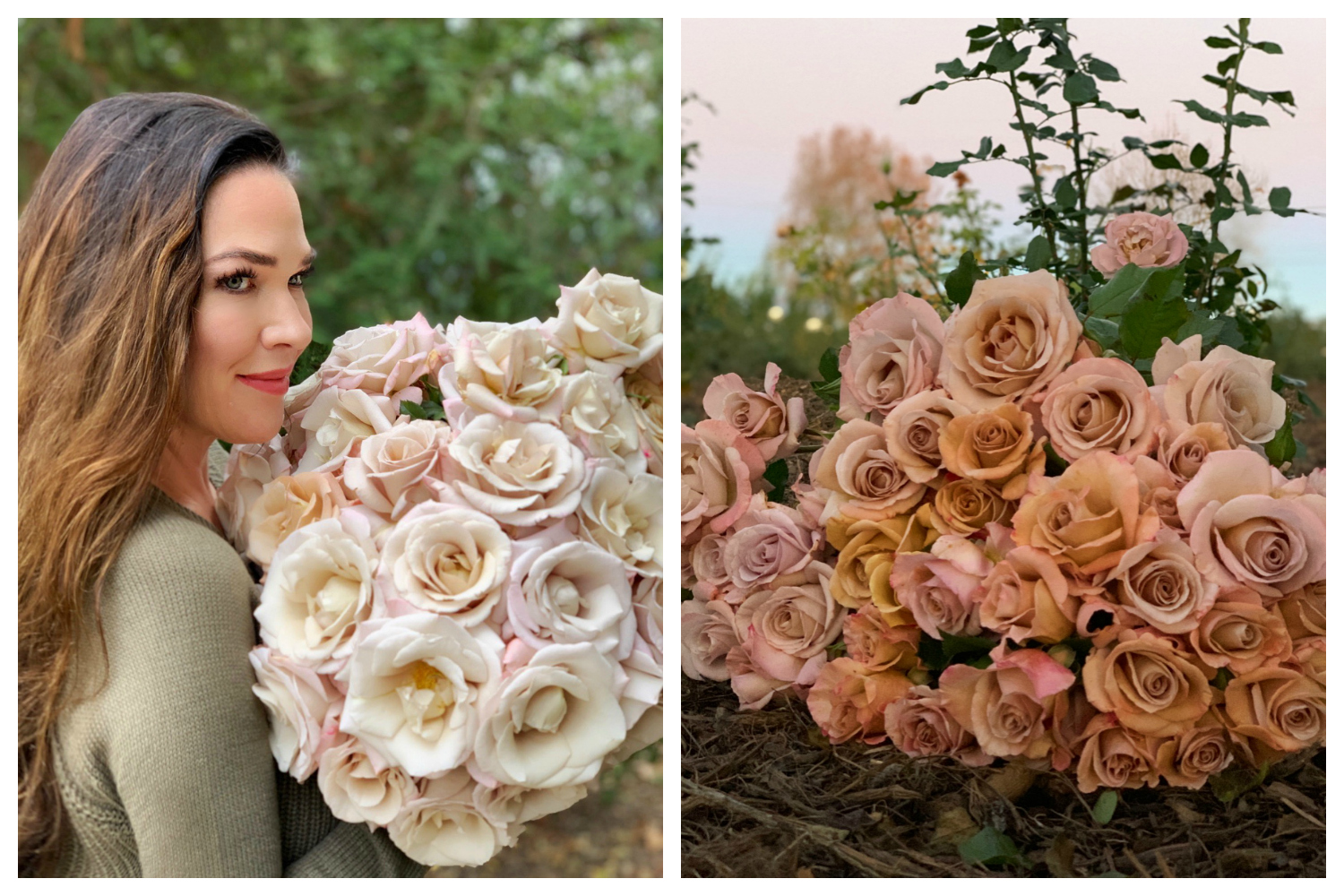 The {Farmer} & the Florist Interview: Grace Rose Farm - Floret Flowers