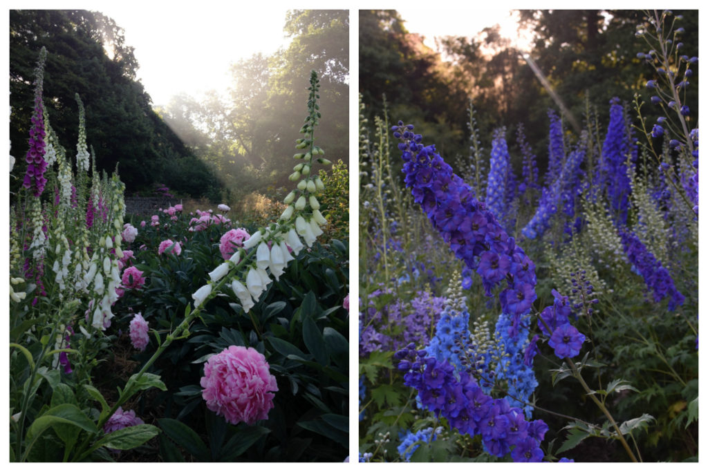 The {Farmer} & the Florist Interview: Becky Crowley - Floret Flowers