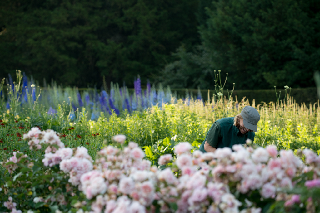 The {Farmer} & the Florist Interview: Becky Crowley - Floret Flowers