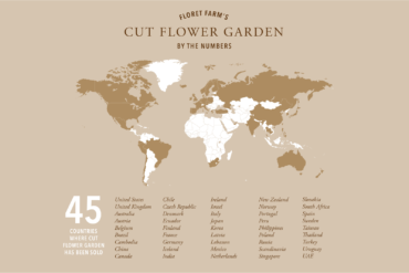 Big News About Floret Books - Floret Flowers