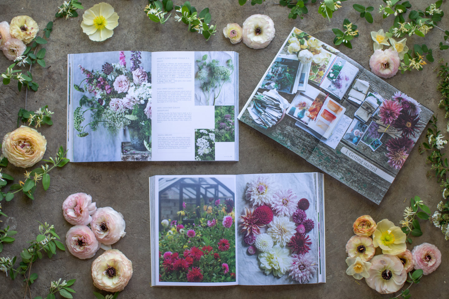 Flower Cottage Cortez Co | Best Flower Site