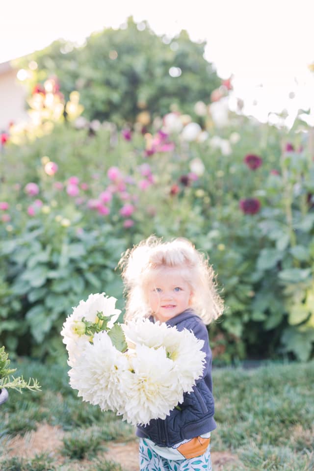 #AYearInFlowers Weeks 25 -27 - Floret Flowers