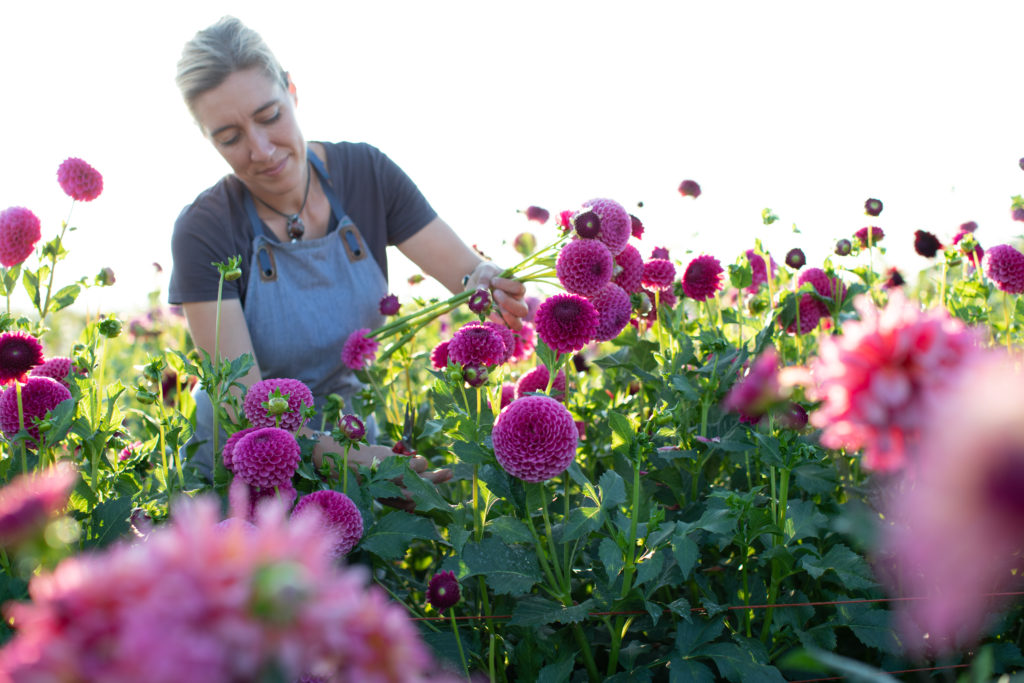 What makes the Floret Online Workshop unique - Floret Flowers
