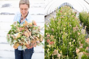 Heat-loving Flowers and Foliage - Floret Flowers