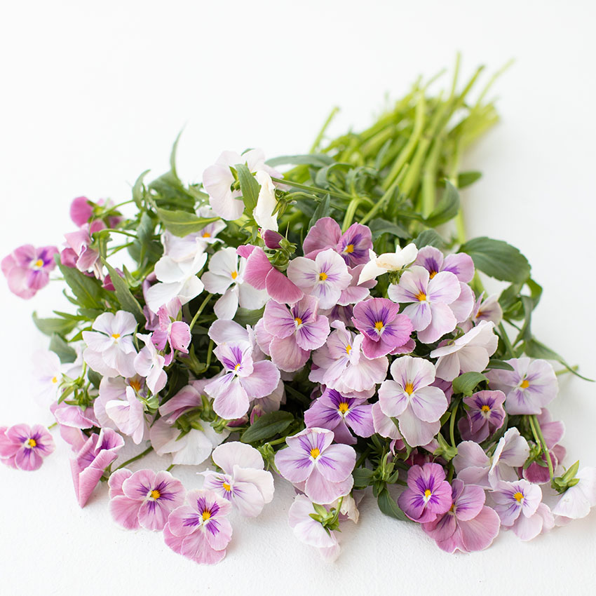 Sullivans Flowers Eagle River Wi | Best Flower Site