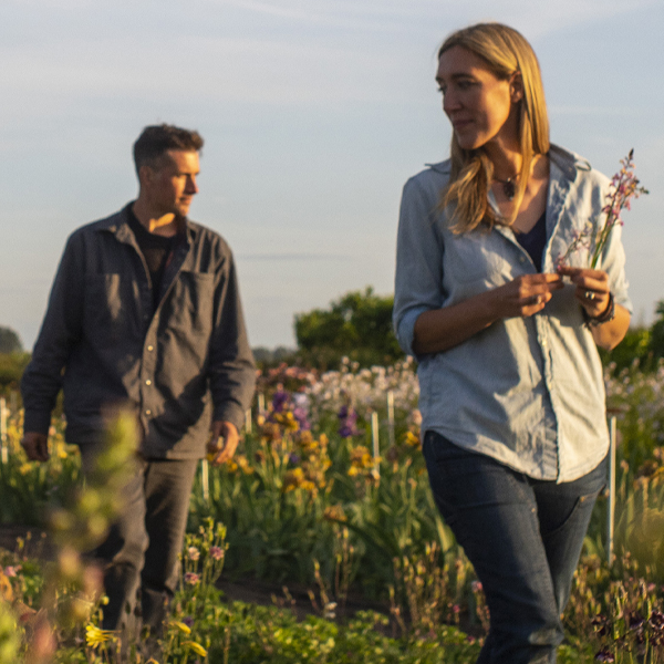 Growing Floret - Floret Flowers
