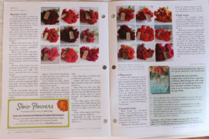 The Story of the Floret Workshops Part 1 - Floret Flowers