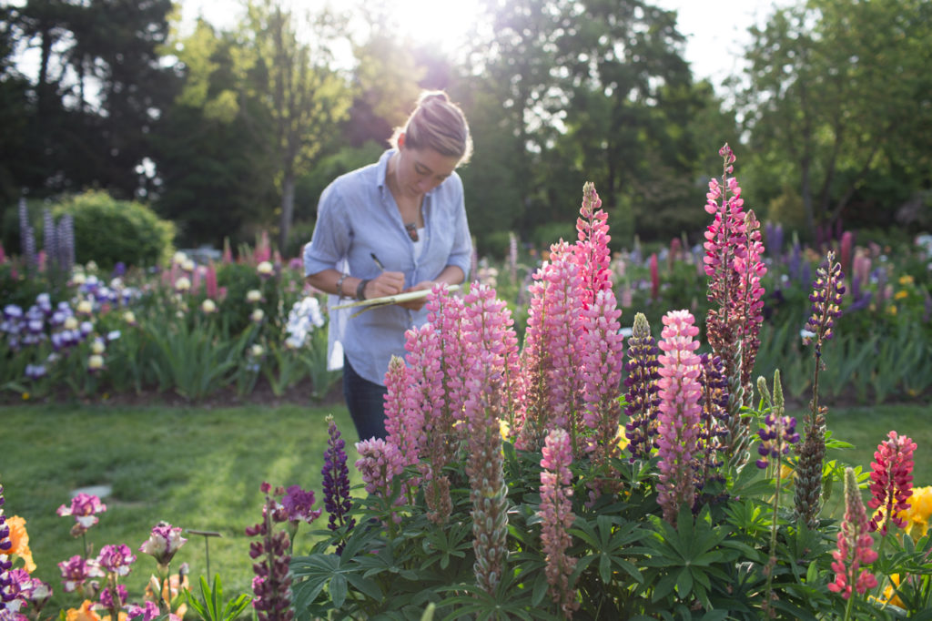 The Story of the Floret Workshops Part 2 - Floret Flowers