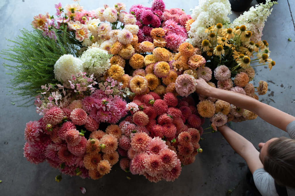 The Story of the Floret Workshops Part 2 - Floret Flowers