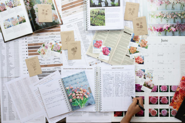 The Story of the Floret Workshops Part 2 - Floret Flowers