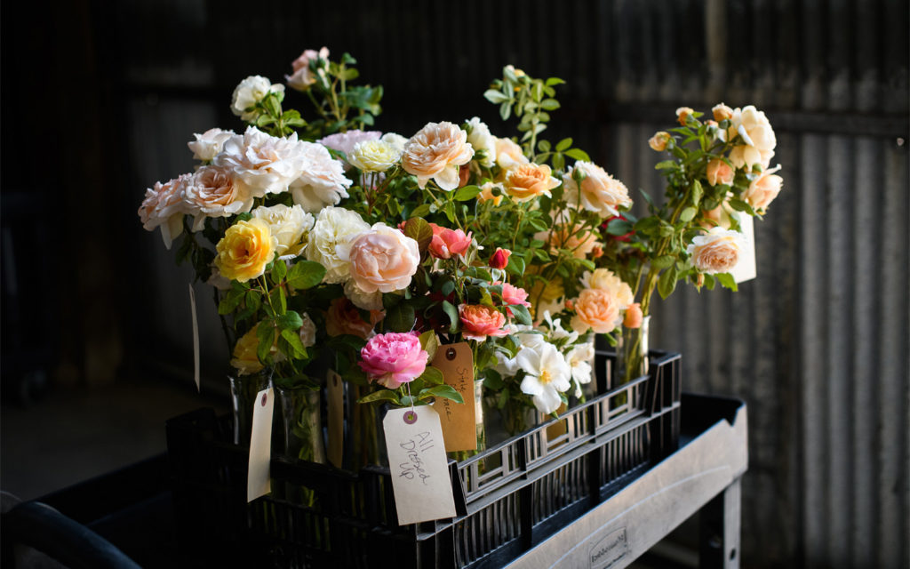 The {Farmer} & the Florist Interview: Felicia Alvarez - Floret Flowers