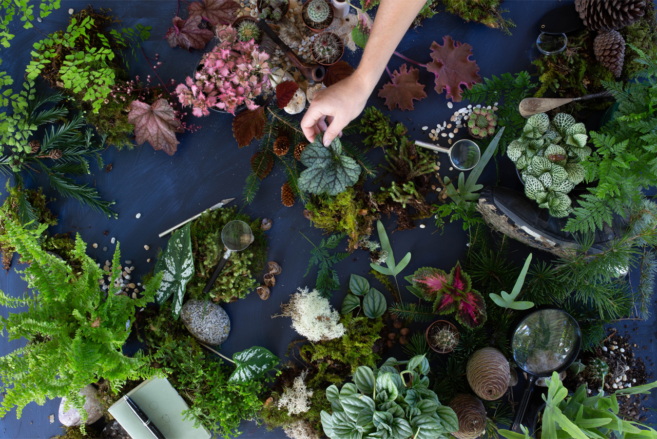 The {Farmer} & The Florist Interview: Zoë Field - Floret Flowers