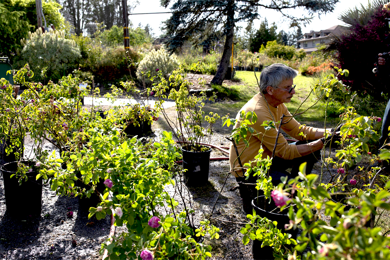 The {Farmer} & The Florist Interview: Gregg Lowery - Floret Flowers