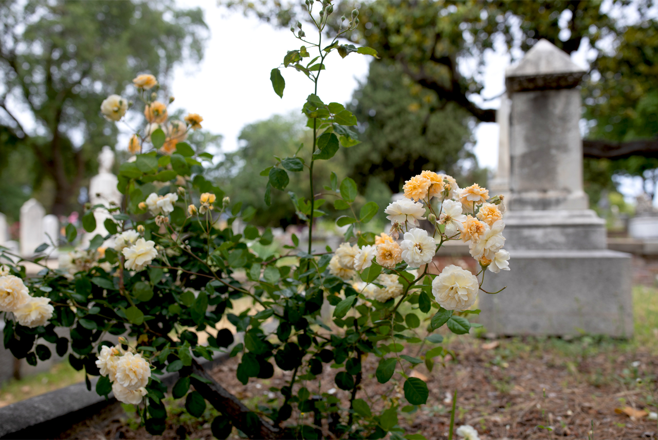 The {Farmer} & The Florist Interview: Gregg Lowery - Floret Flowers