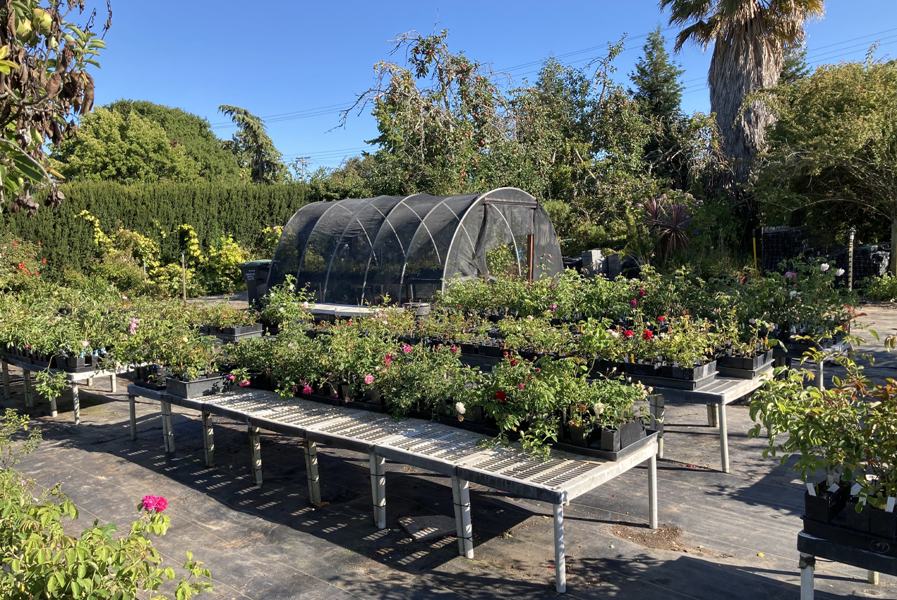 The {Farmer} & The Florist Interview: Gregg Lowery - Floret Flowers