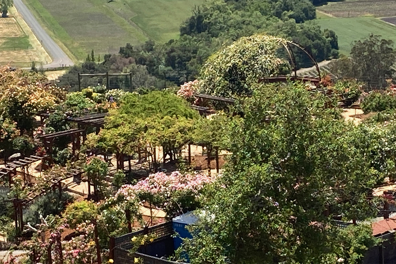 The {Farmer} & The Florist Interview: Gregg Lowery - Floret Flowers