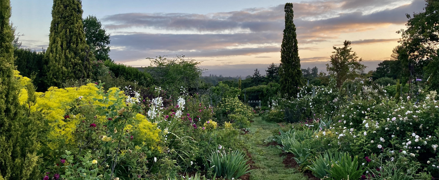 The {Farmer} & The Florist Interview: Gregg Lowery - Floret Flowers