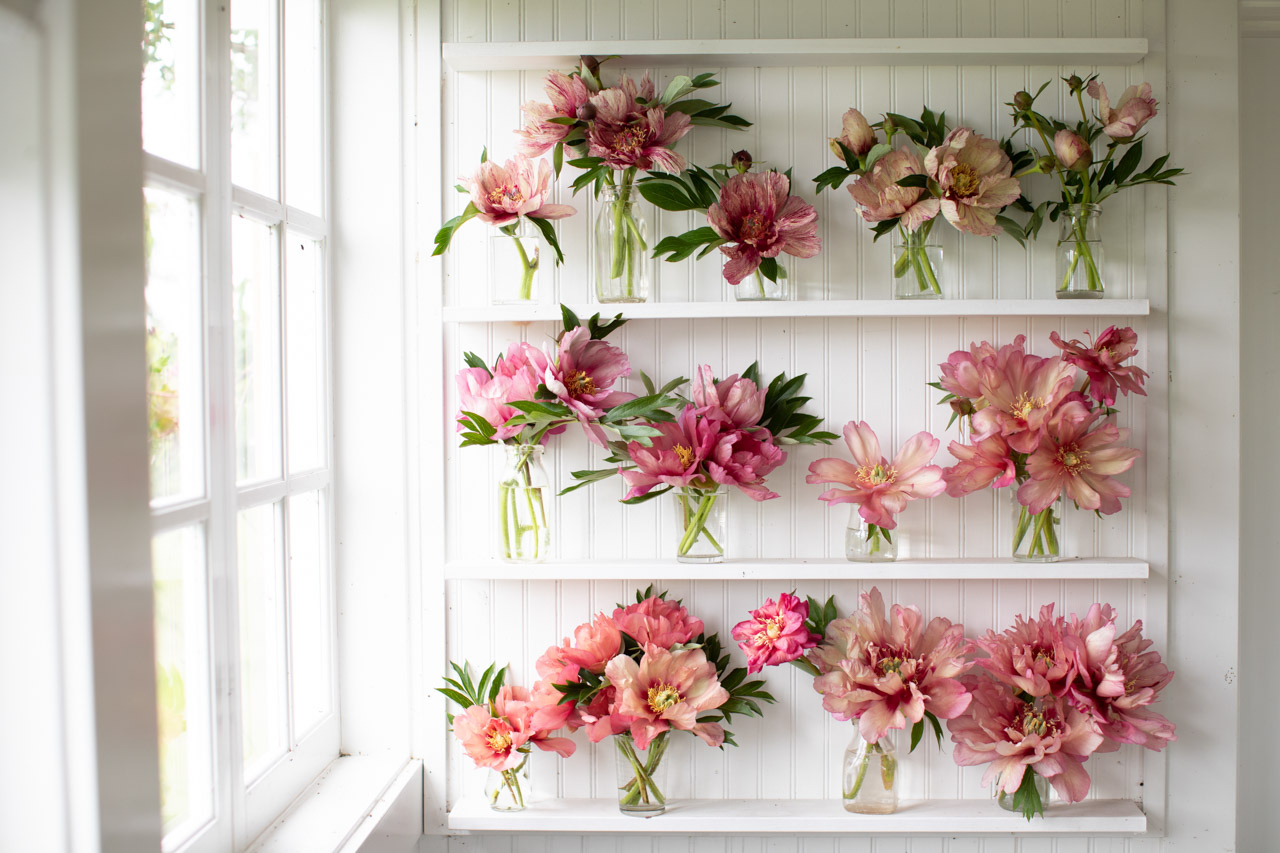 About the Floret Library - Floret Flowers