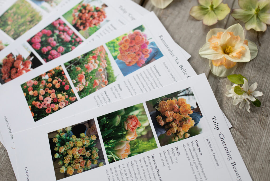 About the Floret Library - Floret Flowers