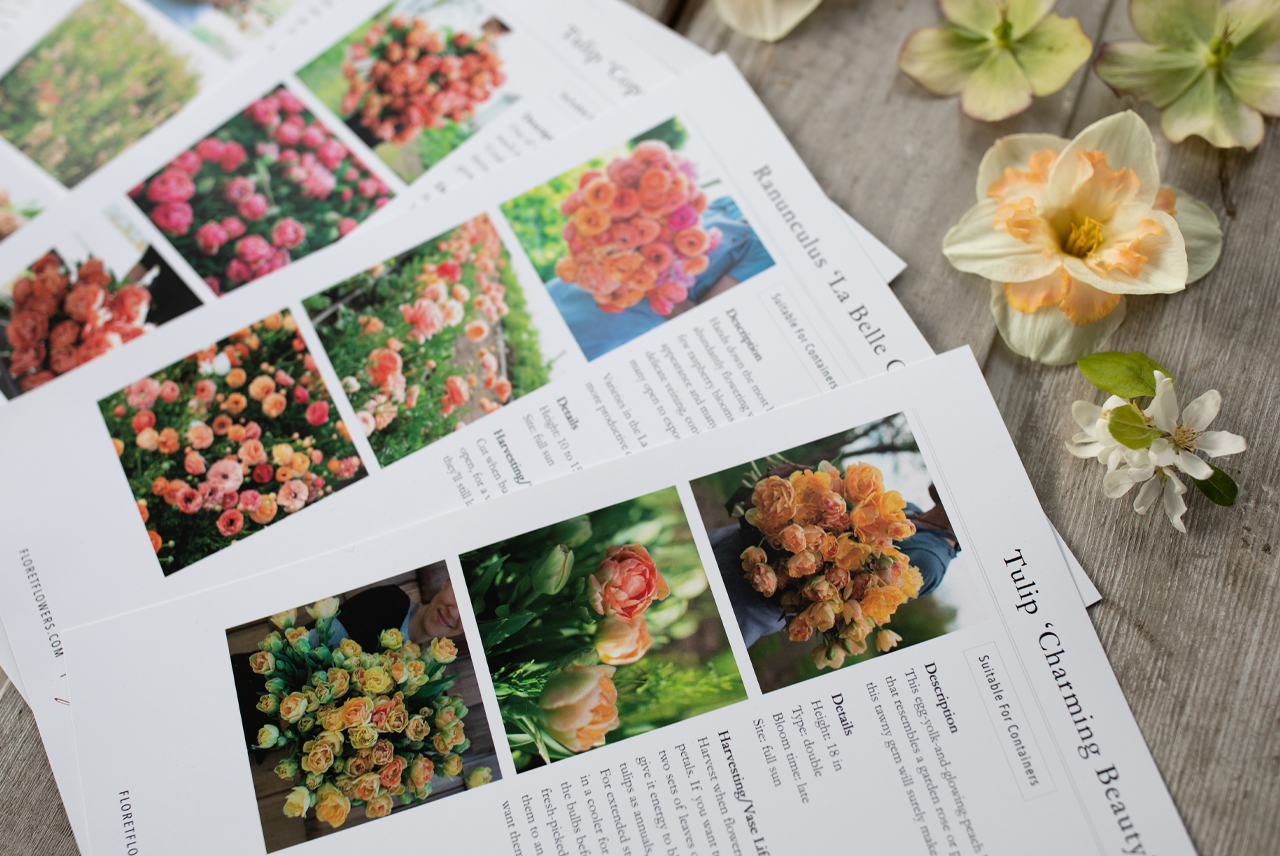 About the Floret Library - Floret Flowers