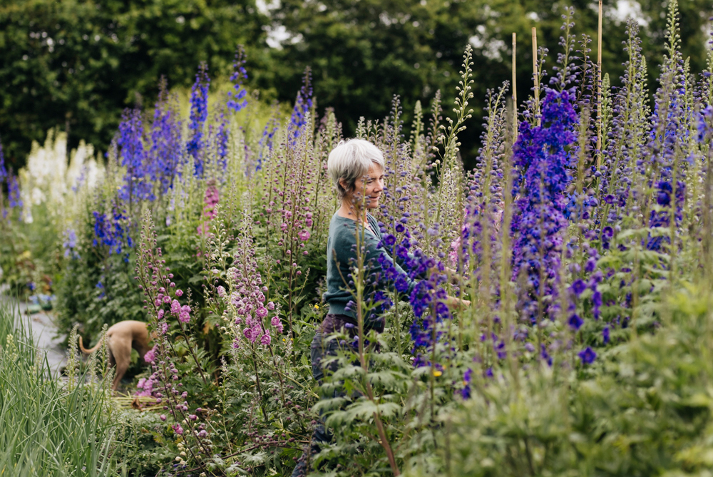 The {Farmer} & The Florist Interview: Rachel Siegfried - Floret Flowers