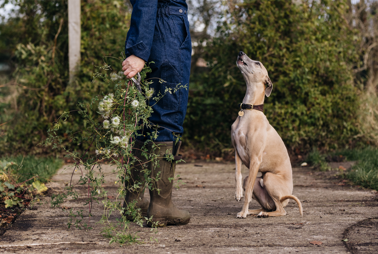 The {Farmer} & The Florist Interview: Rachel Siegfried - Floret Flowers