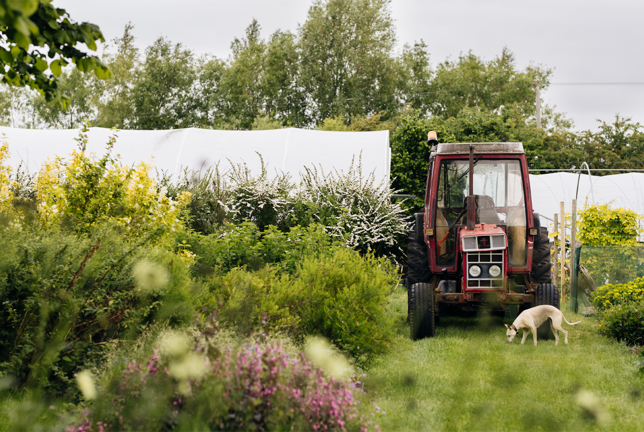 The {Farmer} & The Florist Interview: Rachel Siegfried - Floret Flowers